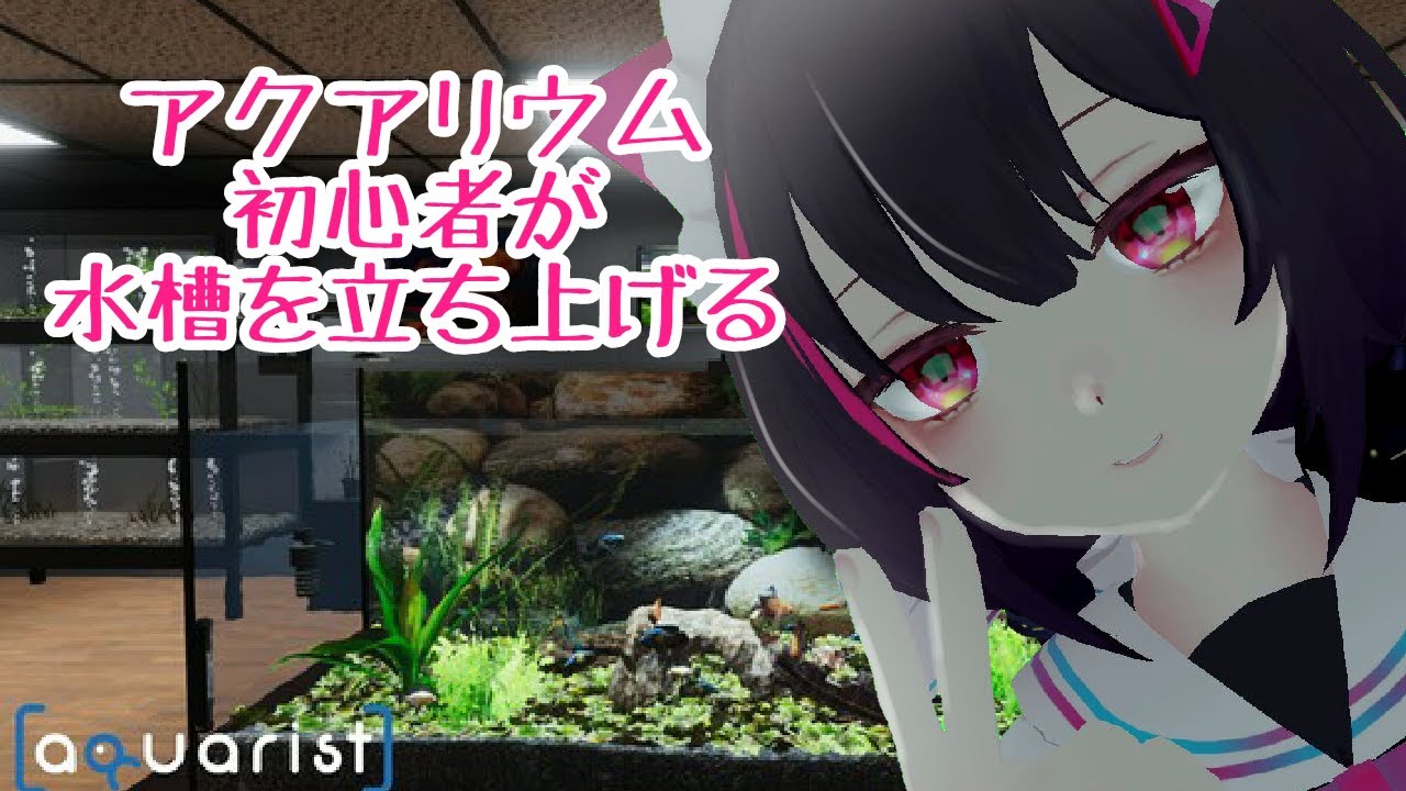 アクアリウム初心者が水槽立ち上げするぞ【Aquarist】 – AQUAlife