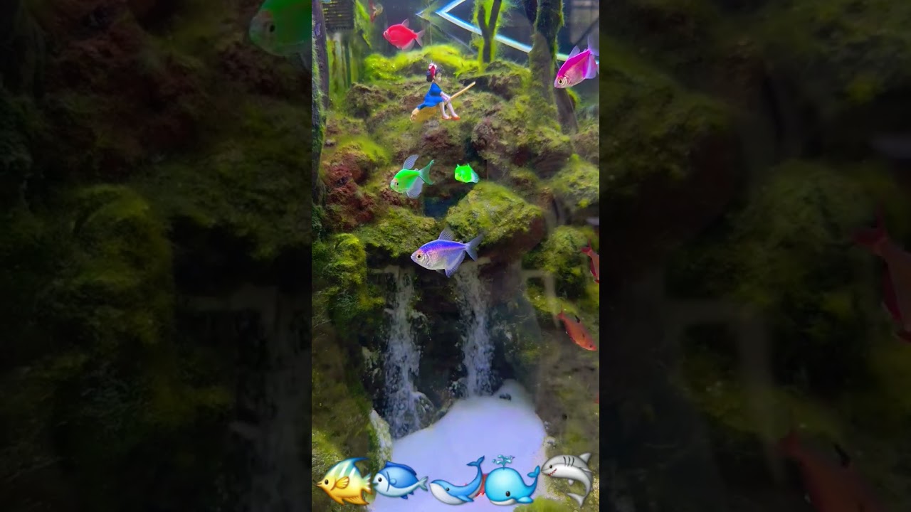 sand waterfall aquarium #aquarium #fish #sandwaterfall – AQUAlife